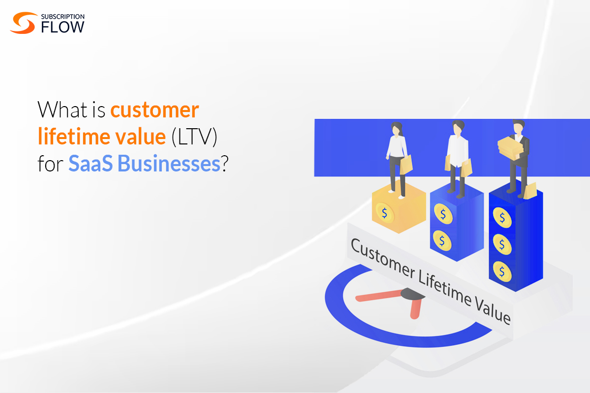 Customer Lifetime Value (LTV) Guide for SaaS Businesses