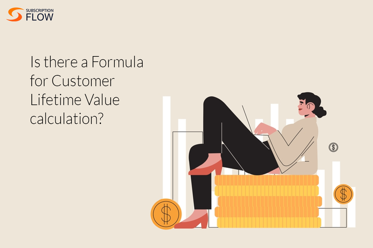 Customer Lifetime Value (LTV) Guide for SaaS Businesses